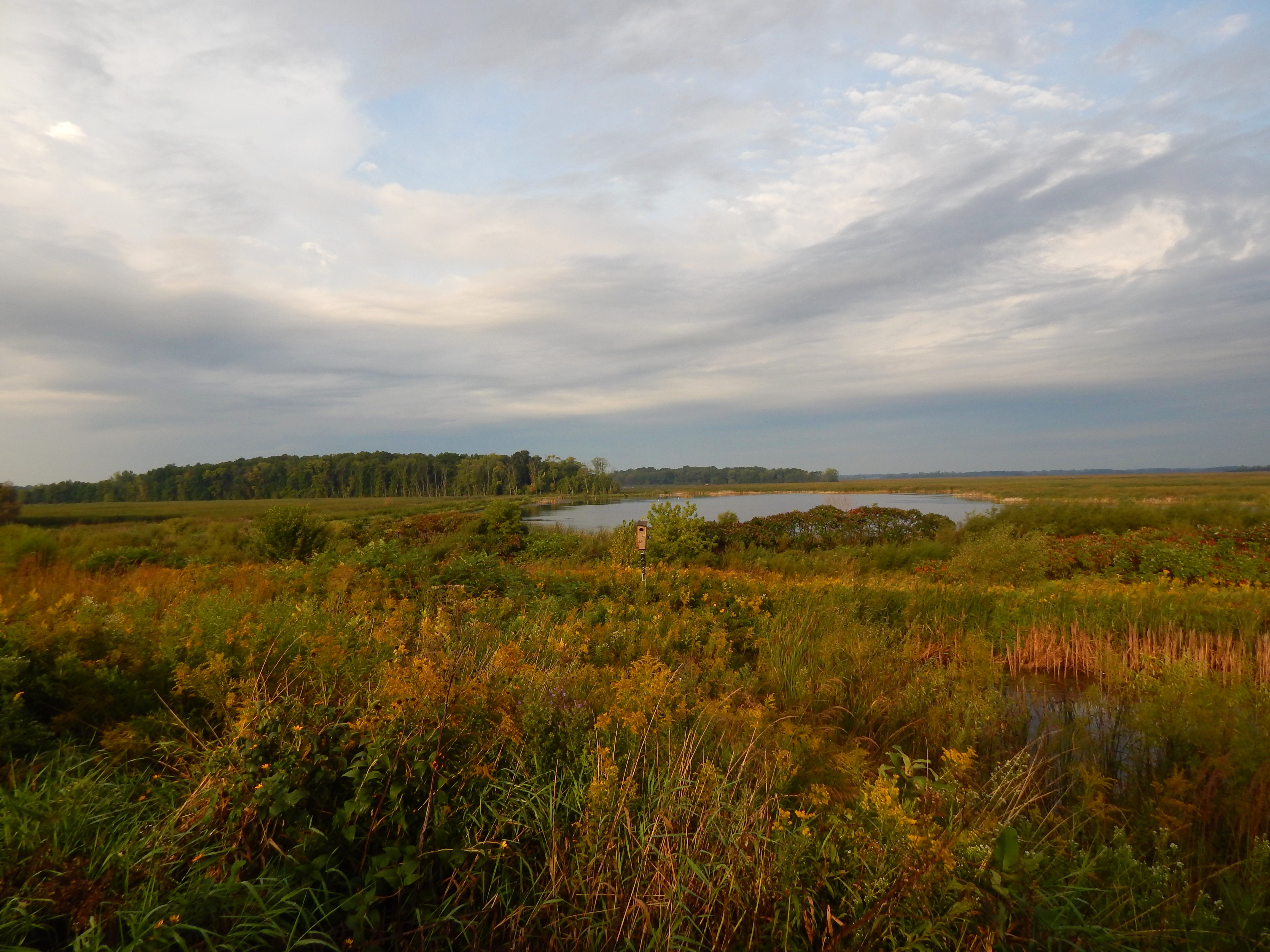 Horicon Marsh and the Landowner | Kingdom Venturers