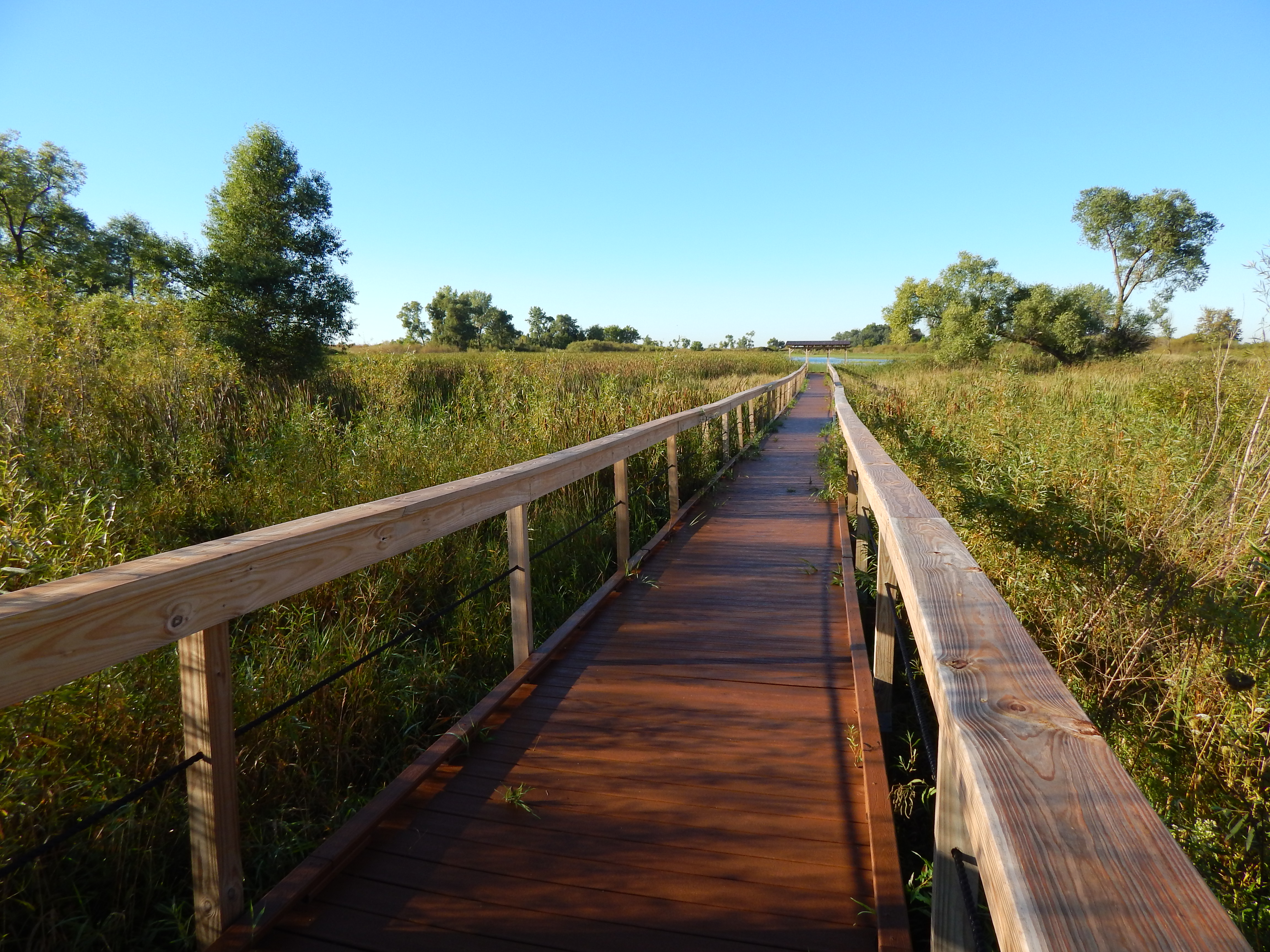 Horicon Marsh Montage – Monday Morning | Kingdom Venturers